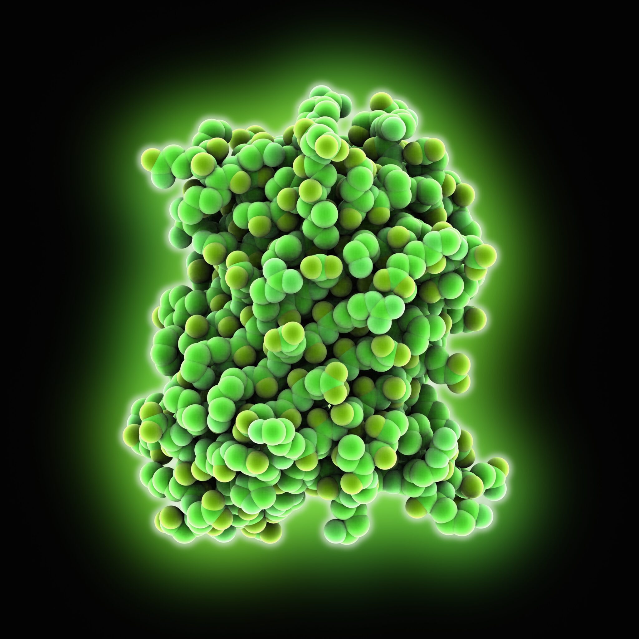 eGFP mRNA Protein Sequence Delivery | Vernal Biosciences