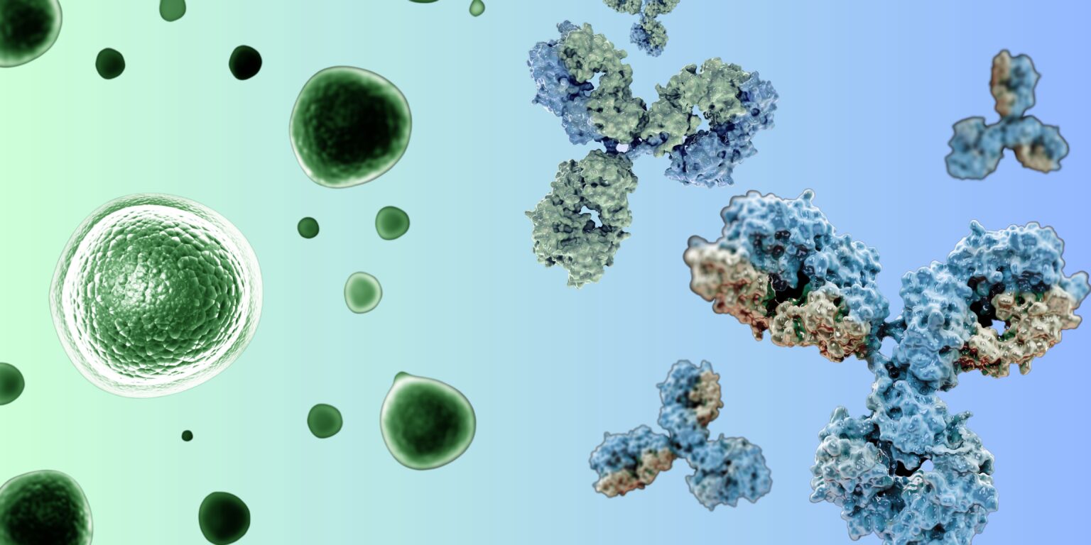 mRNA and mAbs Revolution | Vernal Biosciences